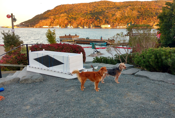 Photo: Getting hitched | Nunatsiaq News