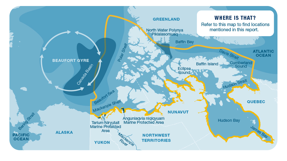 New report illustrates the domino effect of Arctic sea-ice change