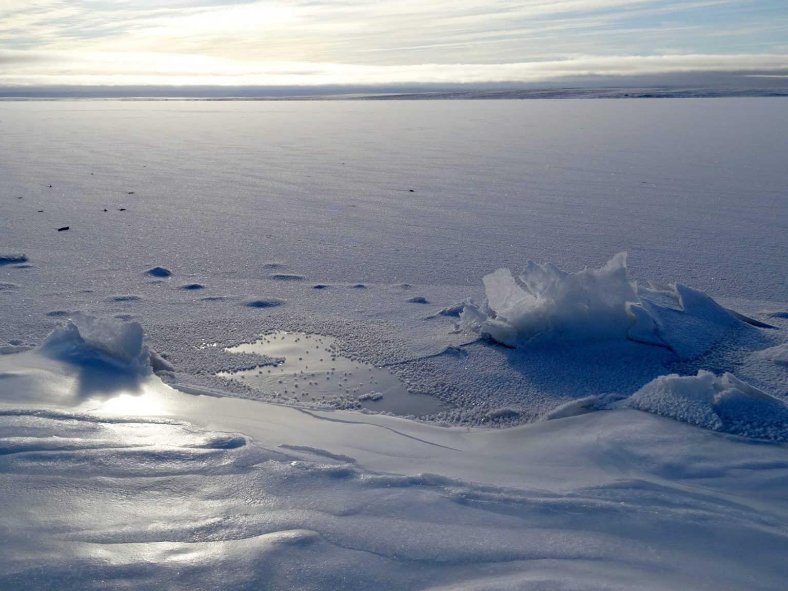 Government of Nunavut approves increase to Dolphin-Union caribou ...