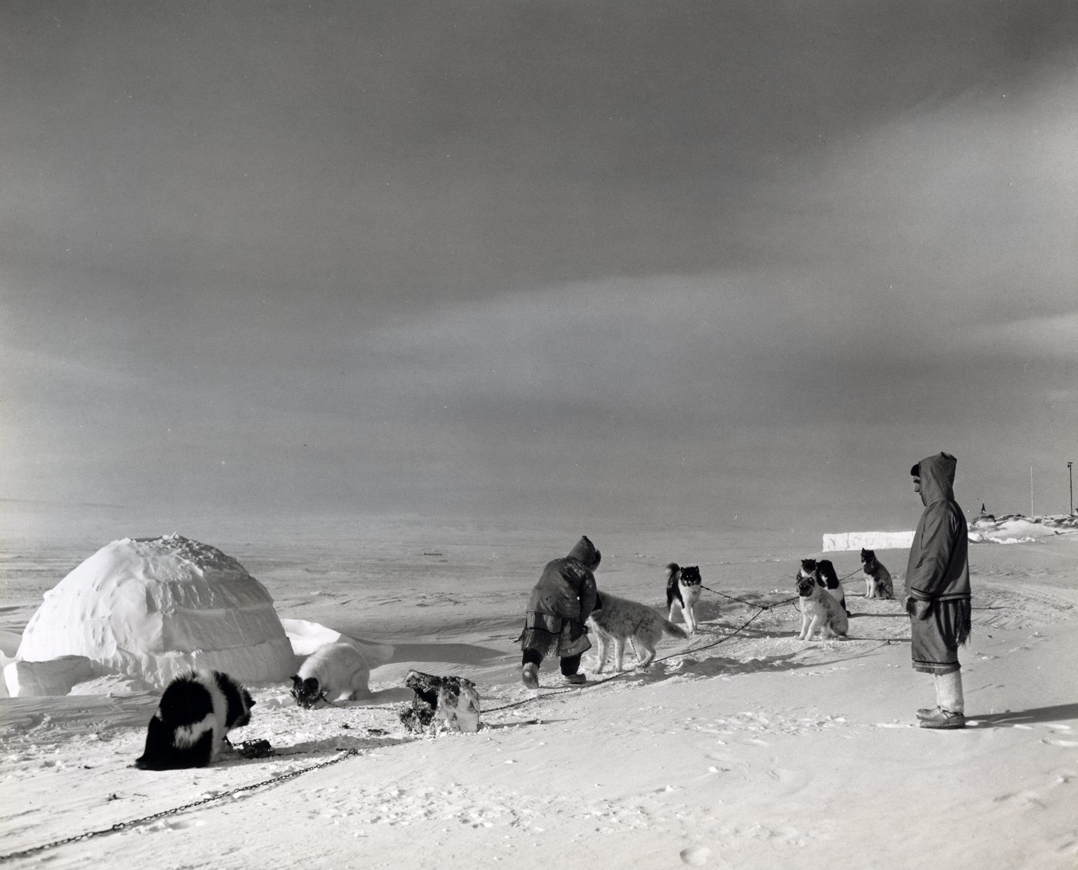 Rare collection of historical Arctic photographs digitized