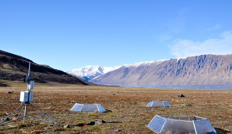 Arctic tundra will see an earlier green-up and longer growing seasons ...