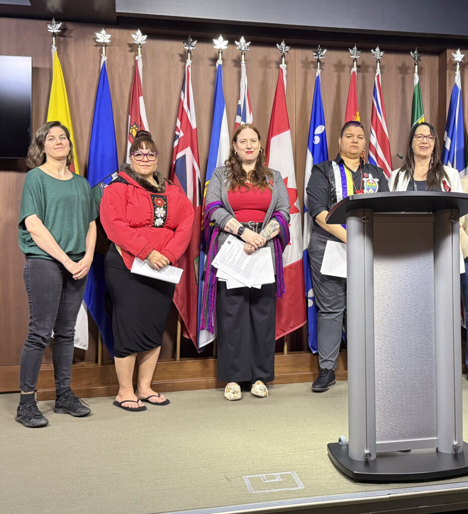 Indigenous groups unveil plan for MMIWG2S+ national database